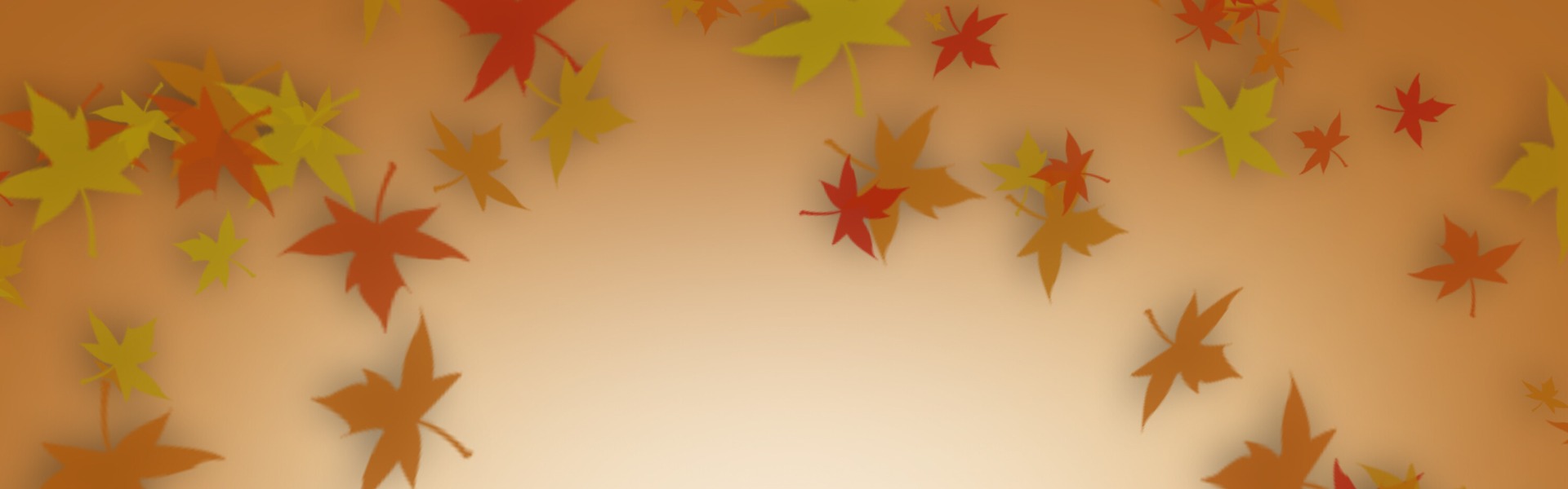 Home | Strathcona Elementary